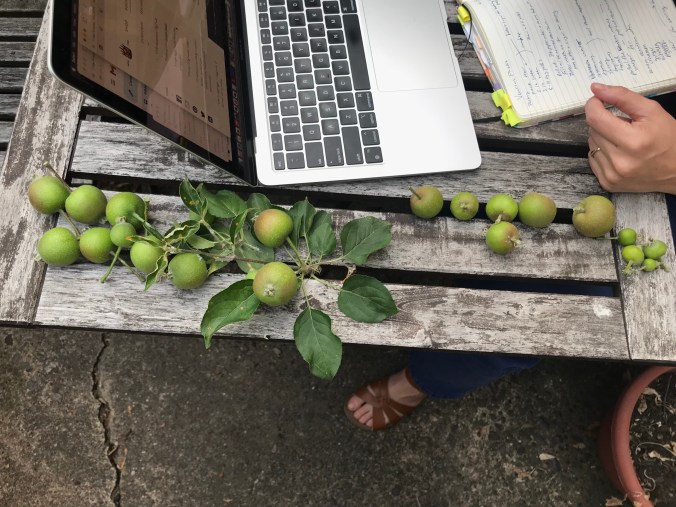to make a codling tarte | Cooking in the Archives